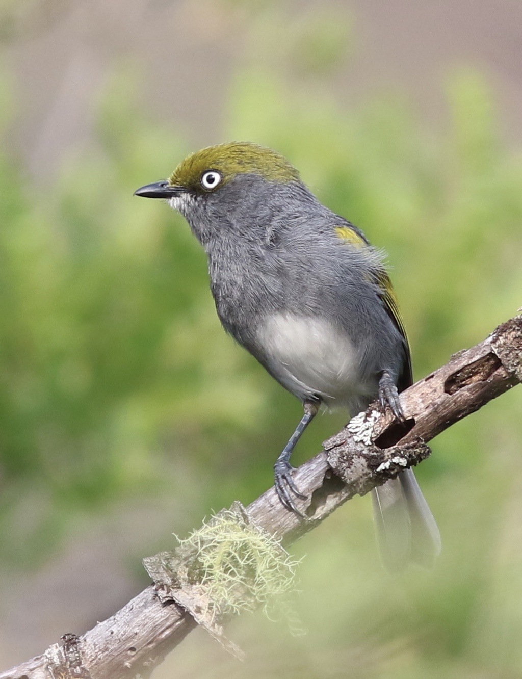 Every one of our trips is aimed to be a great memory