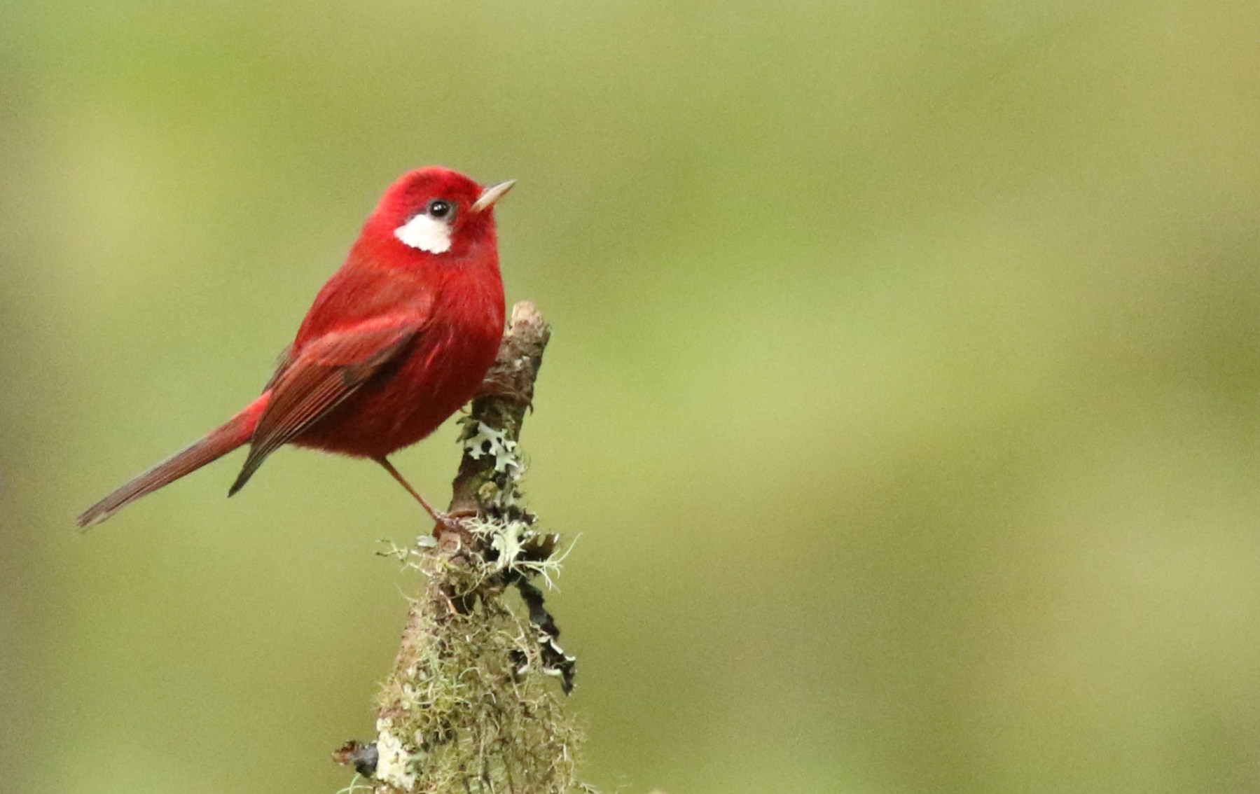 Every one of our trips is aimed to be a great memory